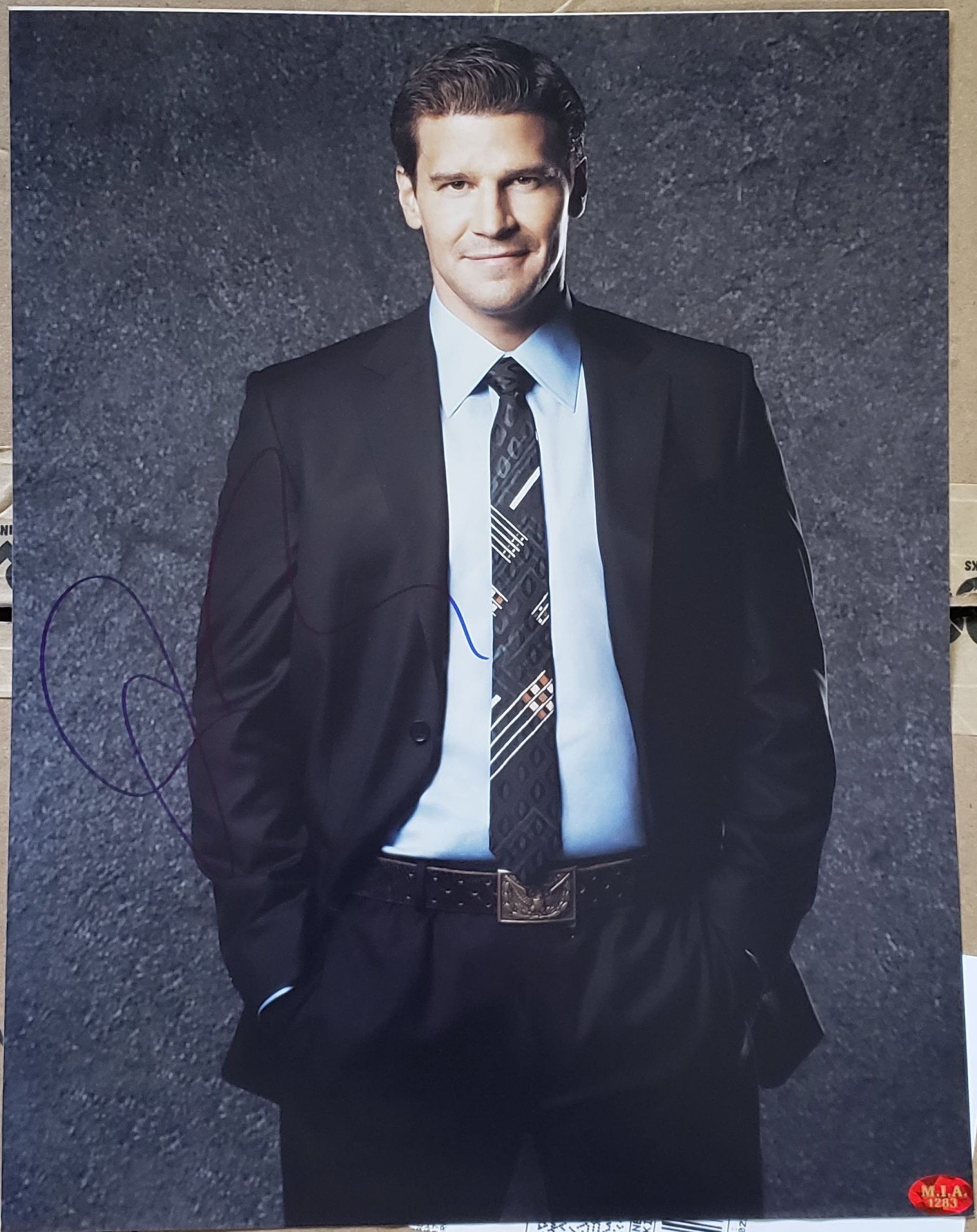 David Boreanaz BONES signed 11x14 oversized photo - Fanboy Expo Store