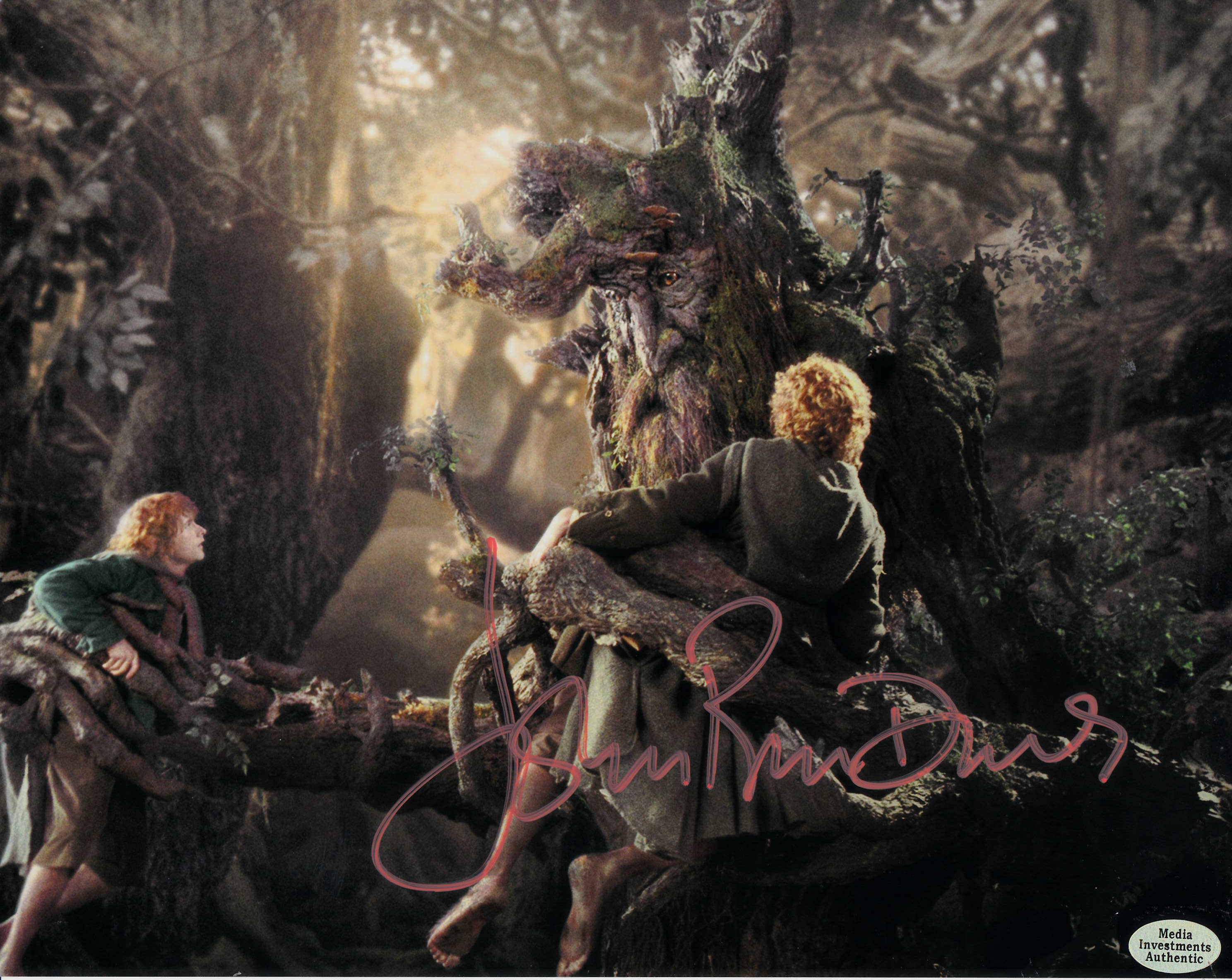 John Rhys Davies Treebeard from Lord of the Rings signed 8x10 photo ...